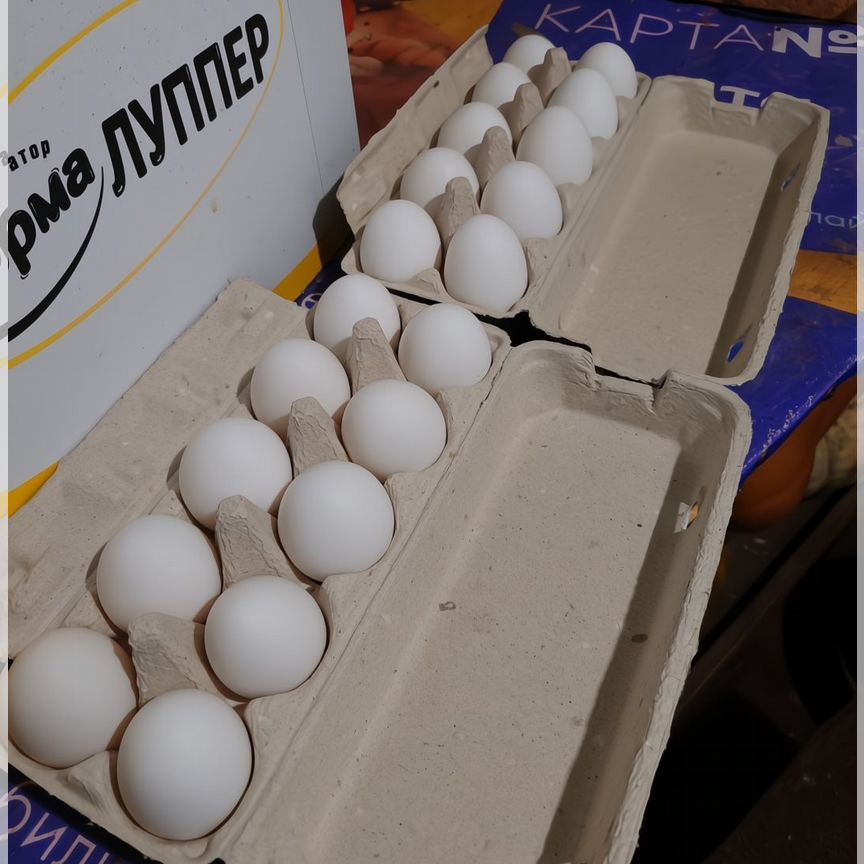 Домашние куриные яйца возможна доставка