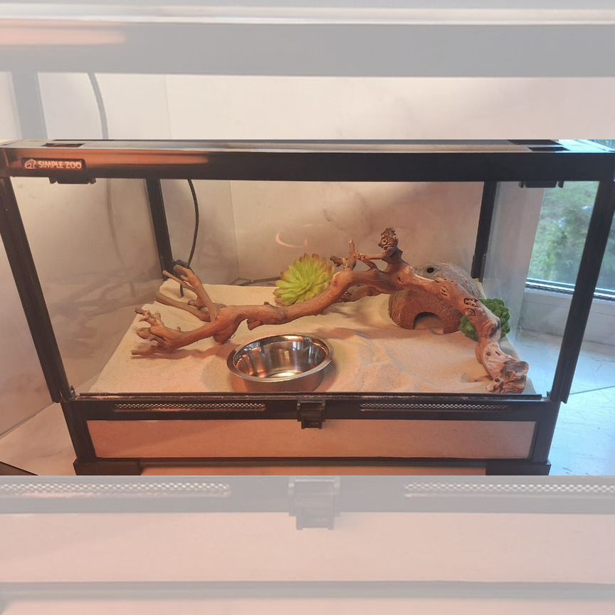 Террариум для эублефара бу