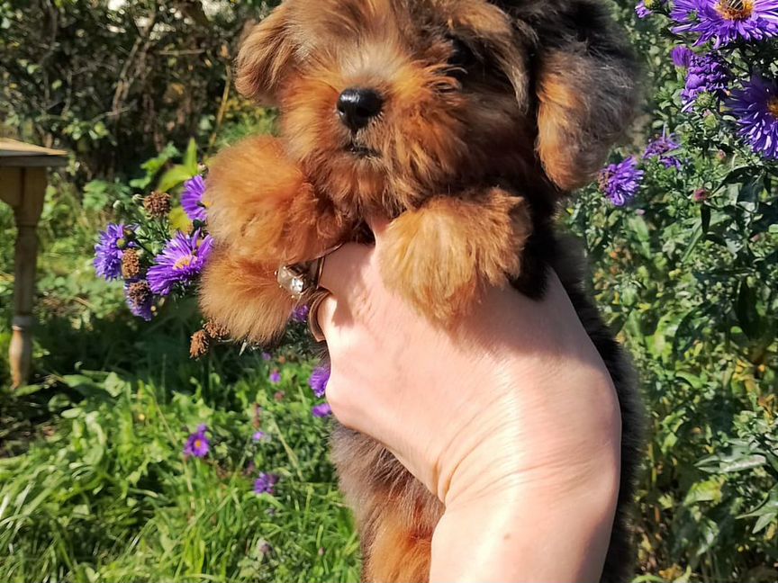 Мраморная девочка