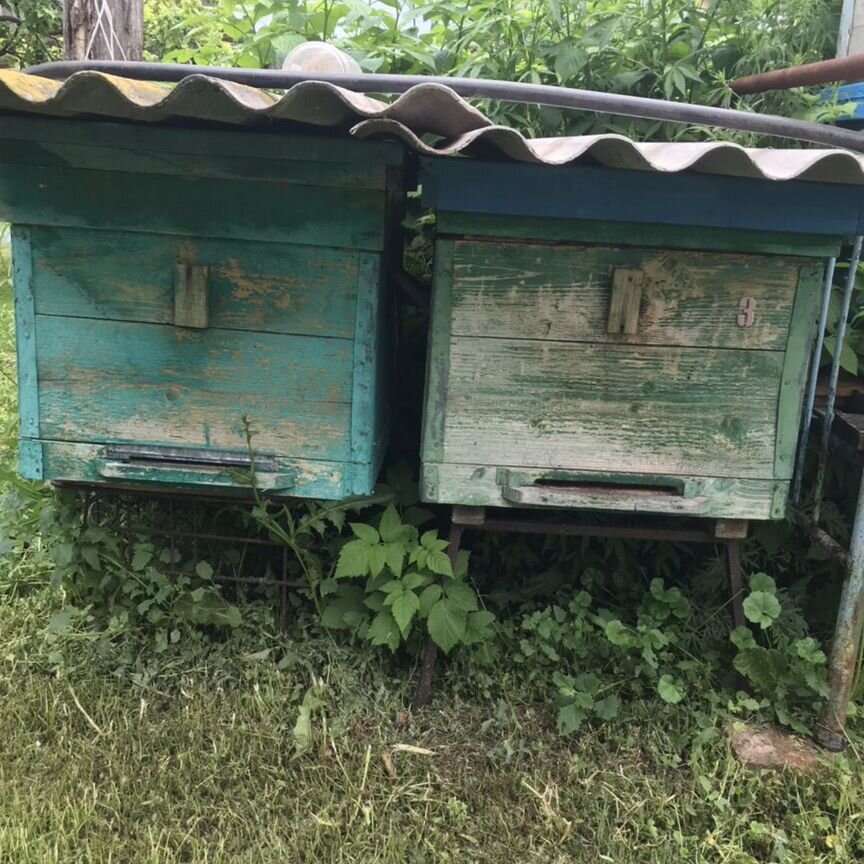 Ульи для пчел