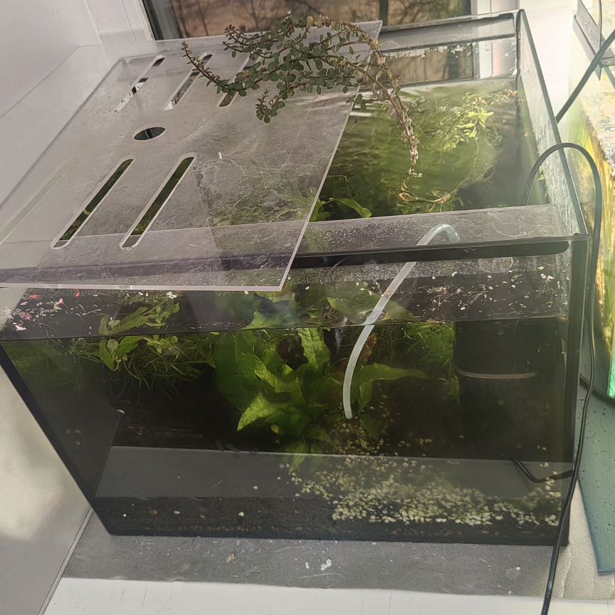 Аквариум 60 л, куб