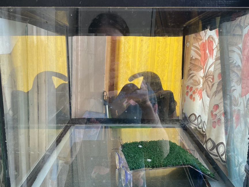 Акватеррариум для черепахи