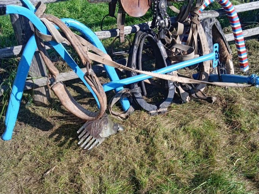 Конная амуниция бу