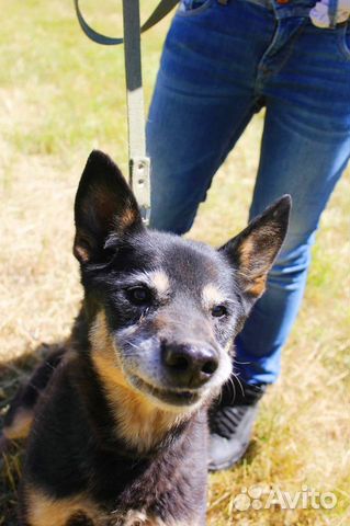 Серафима принесёт вам счастье