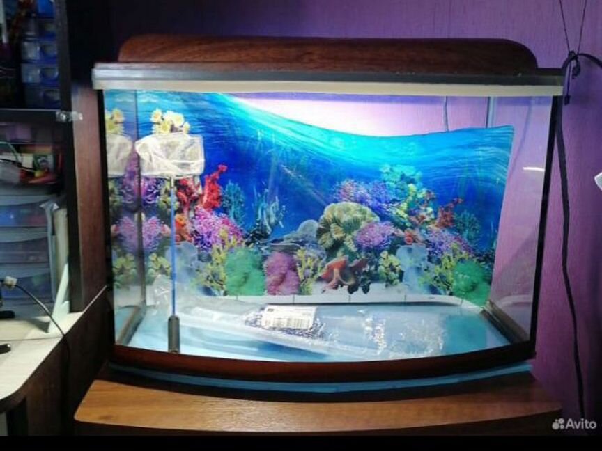Аквариум
