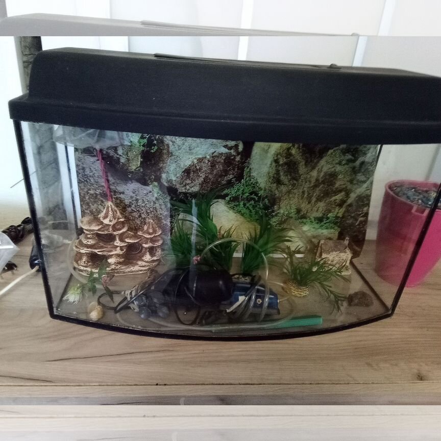 Аквариум на 80 или 90 литров