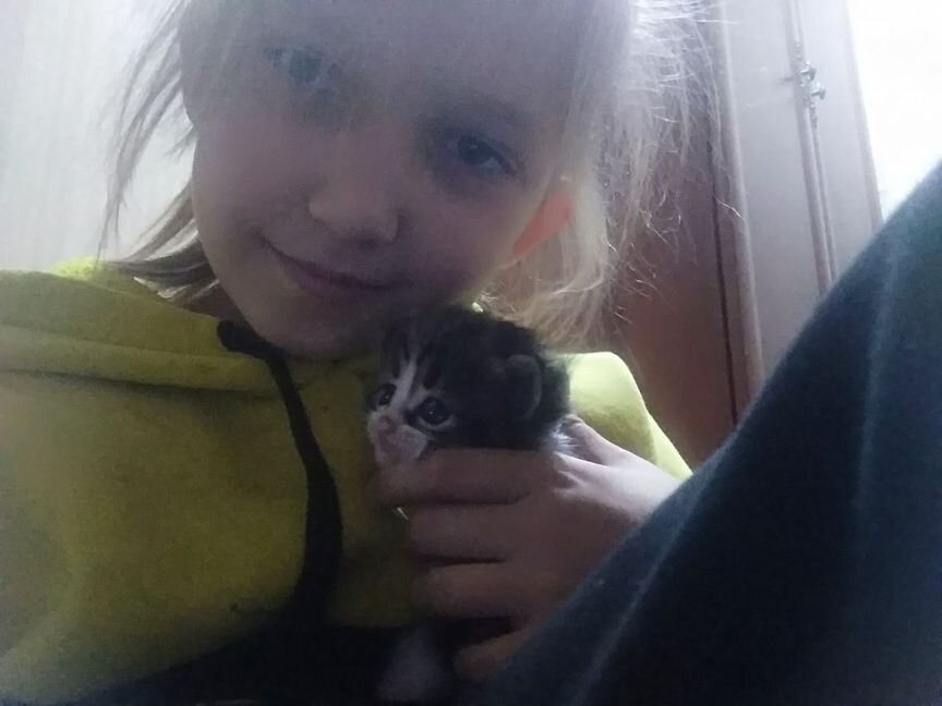Потерялся котёнок девочка