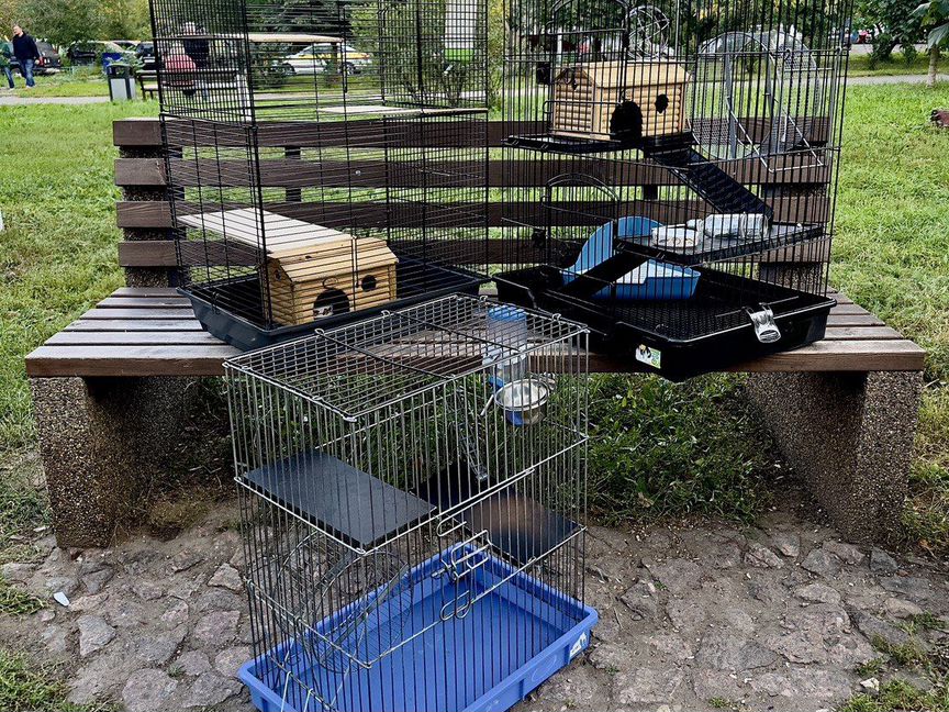 Большая клетка для крыс дегу шиншилл