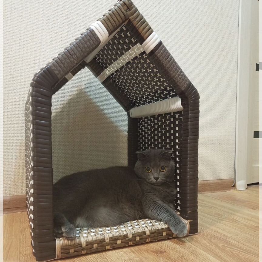 Лежанкадоя животных