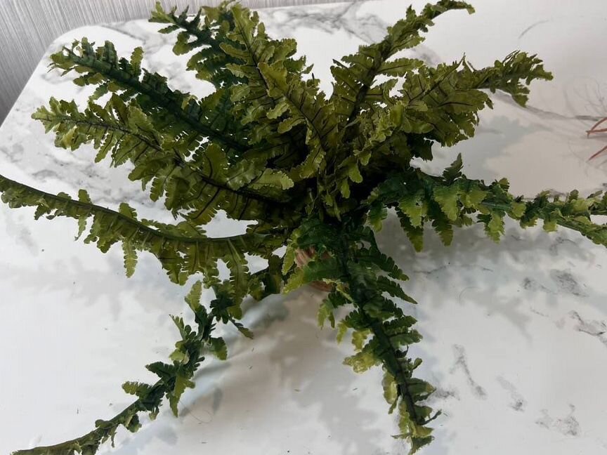 Террариум для рептилий бу