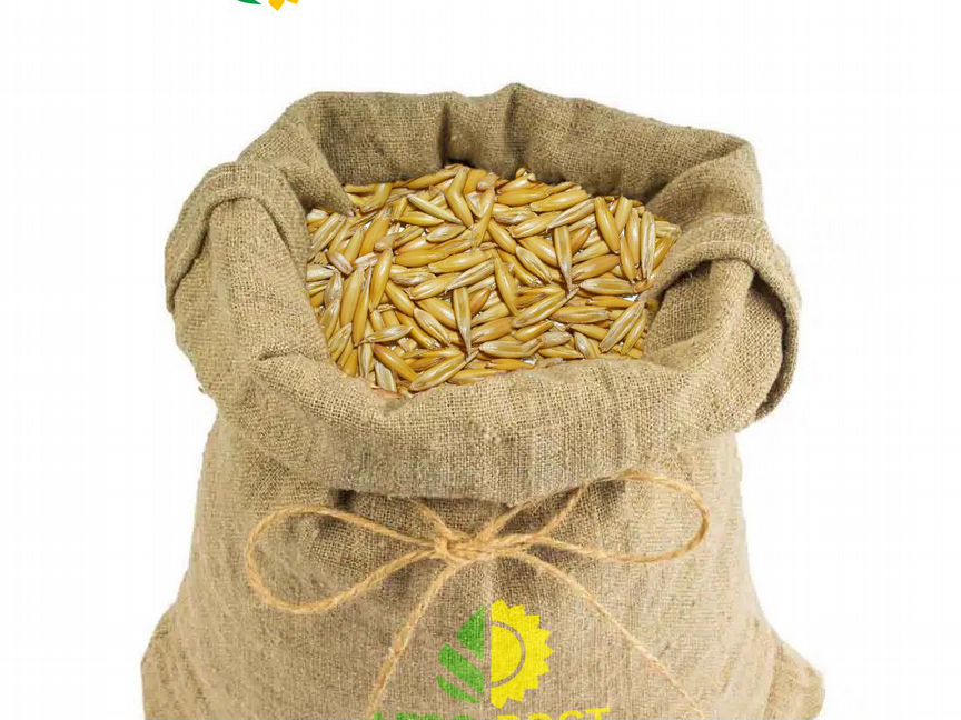 Овес продовольственный