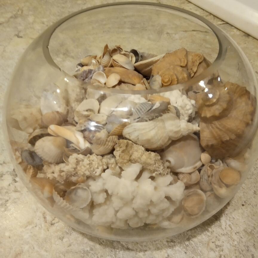 Ракушки и кораллы для аквариума