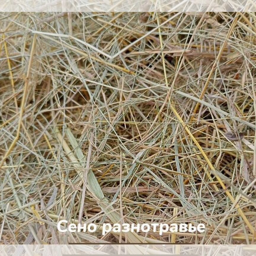 Сено в рулонах