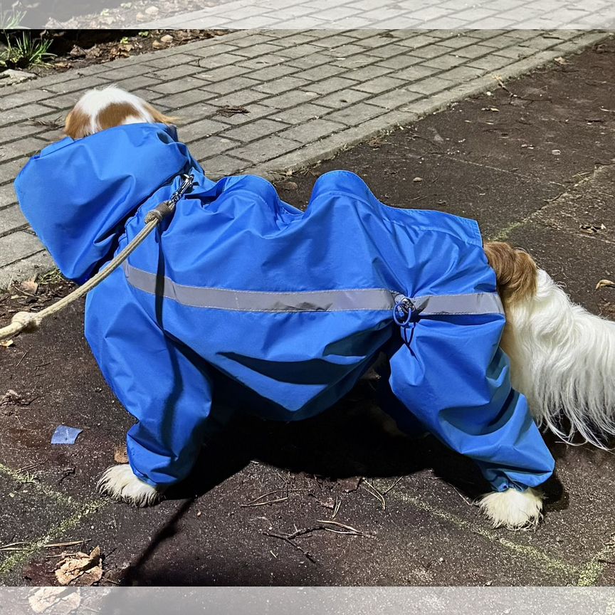 Комбенизон со снудом для спаниеля, дождевик