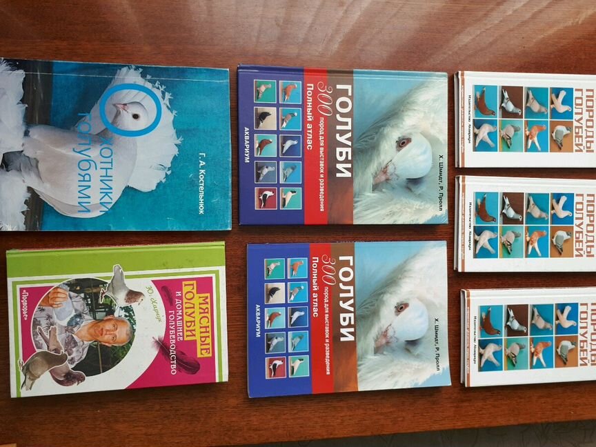 Голуби и все о голубях