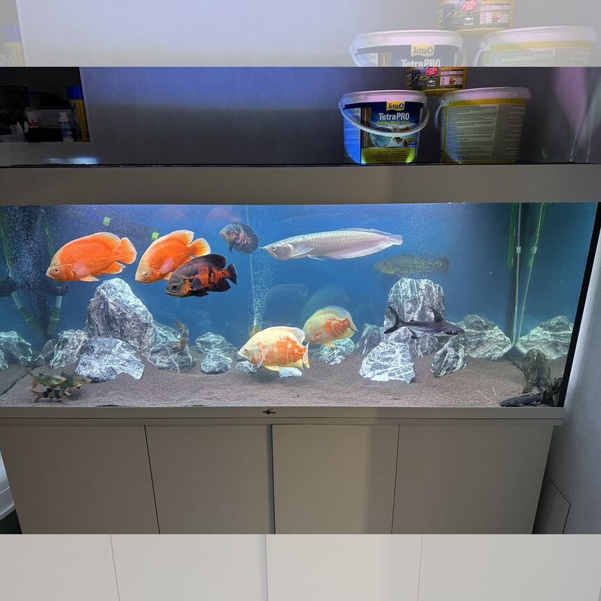 Камни для аквариума