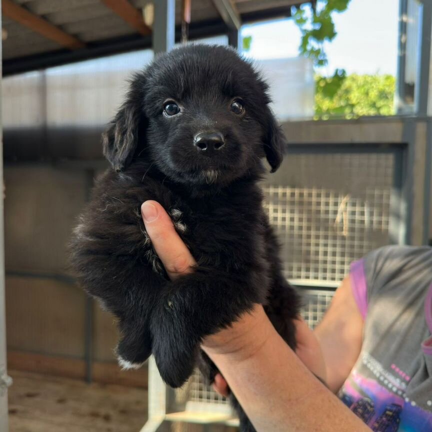 Малыш ищет маму