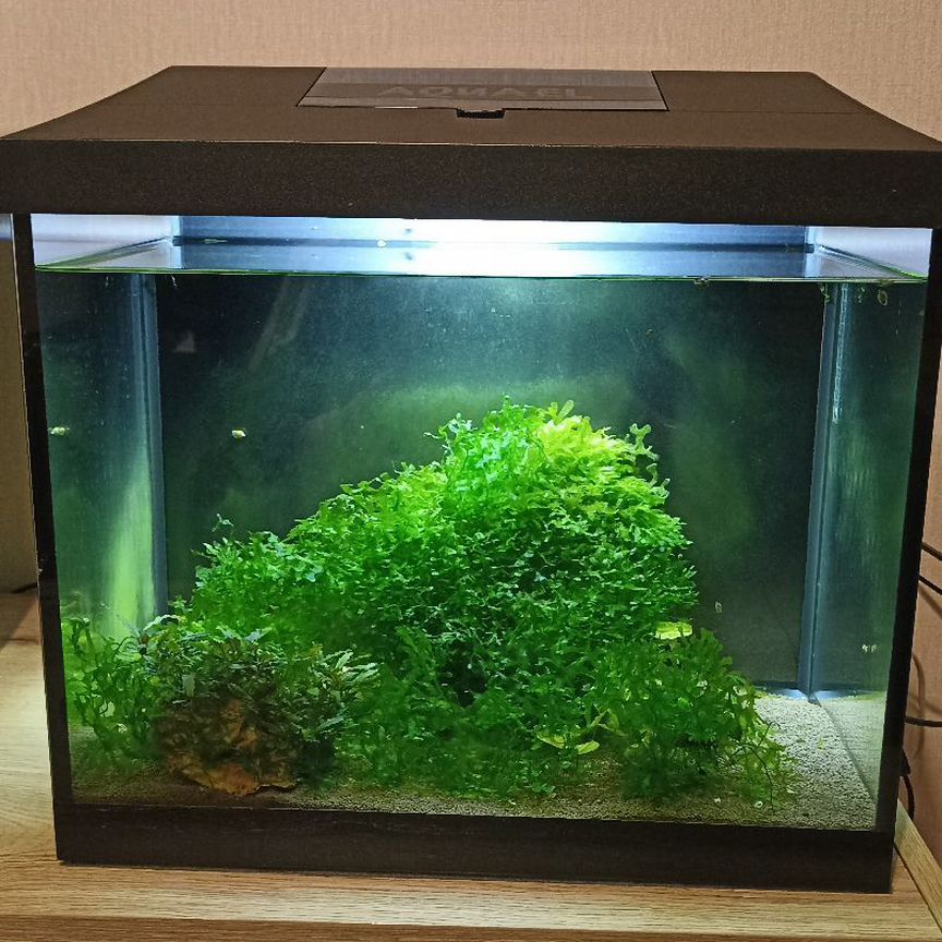 Аквариум Aquael 32 литра (комплект)