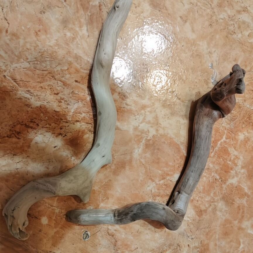 Коряги для аквариума Черноморские