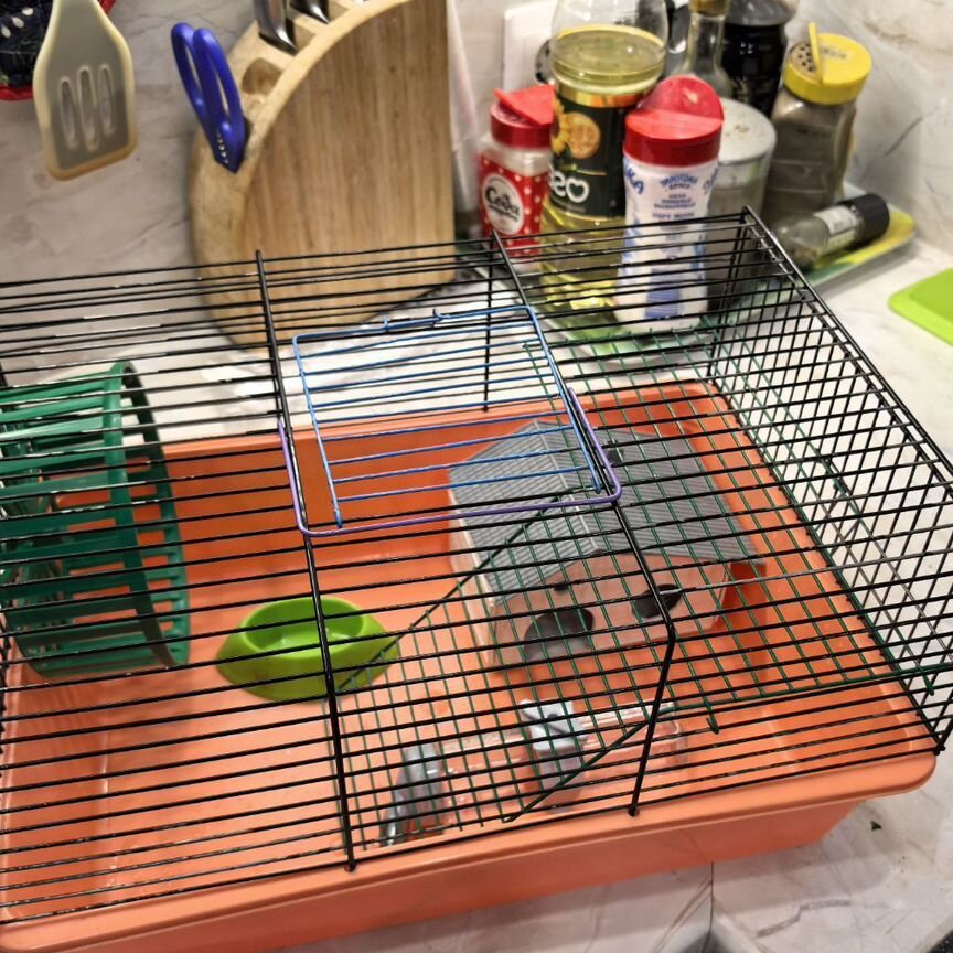 Клетка для хомяка бу