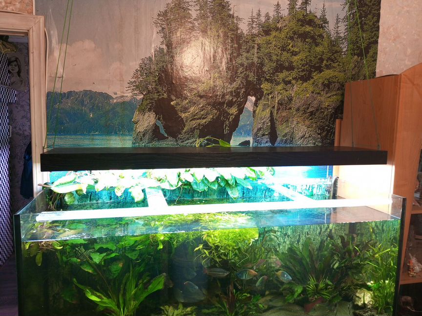 Аквариумный светильник