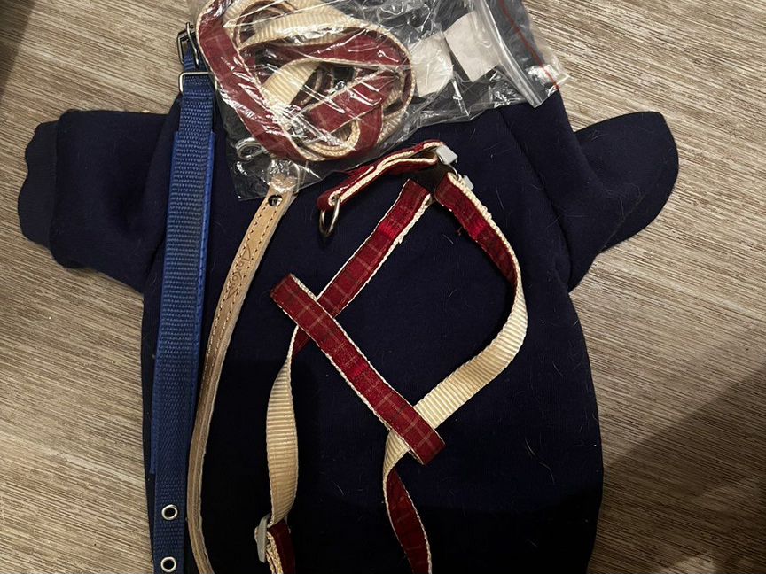 Все для собаки