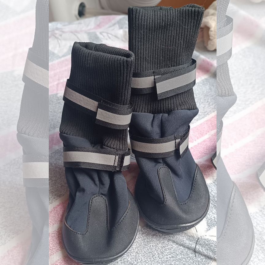 Обувь для собак