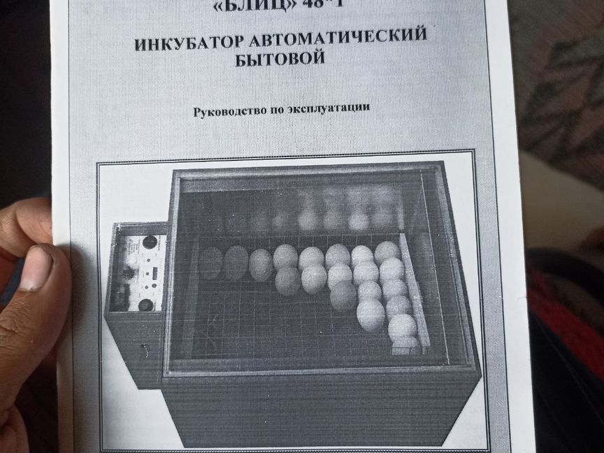 Инкубатор блиц 48