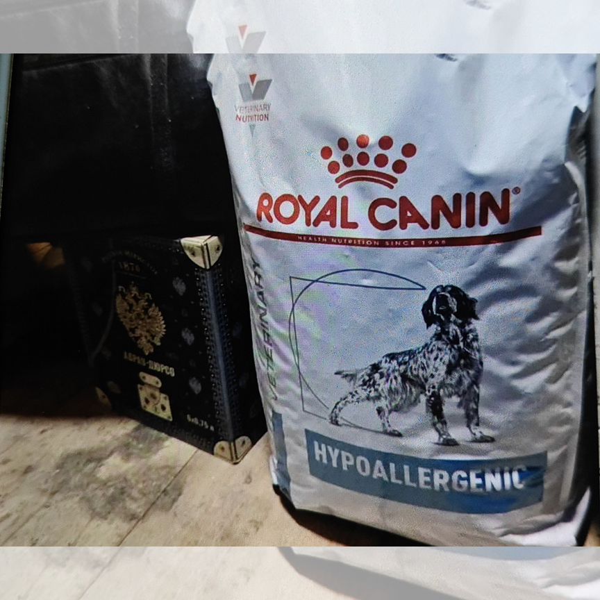 Корм для собак