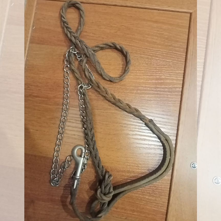 Поводок для собак кожаный с ошейником