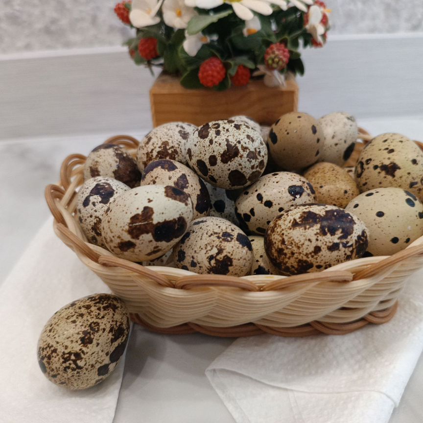 Яйца перепелиные