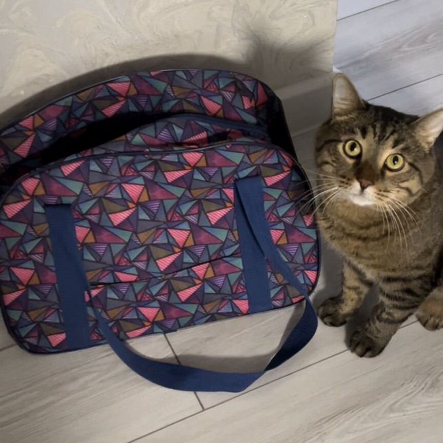 Переноска для кошек мягкая