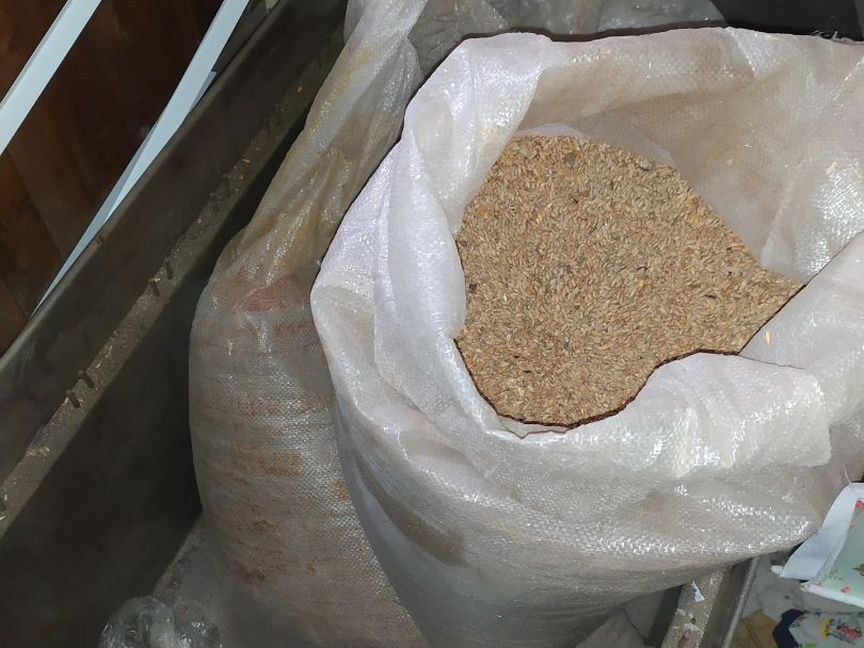Продам корм для птицы, пшеница