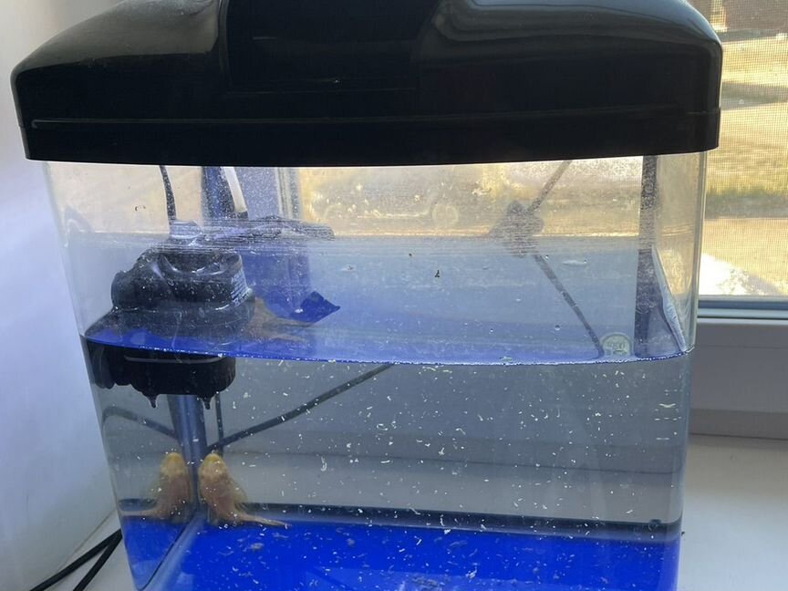 Аквариум Barbus AB-28F бесшовный