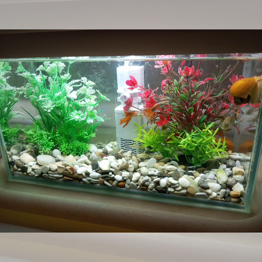 Аквариум с рыбками, улитками и аксессуарами