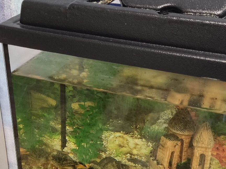 Аквариум 30 л