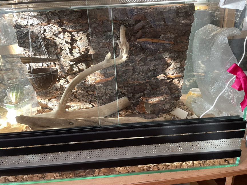 Террариум 60 40 40