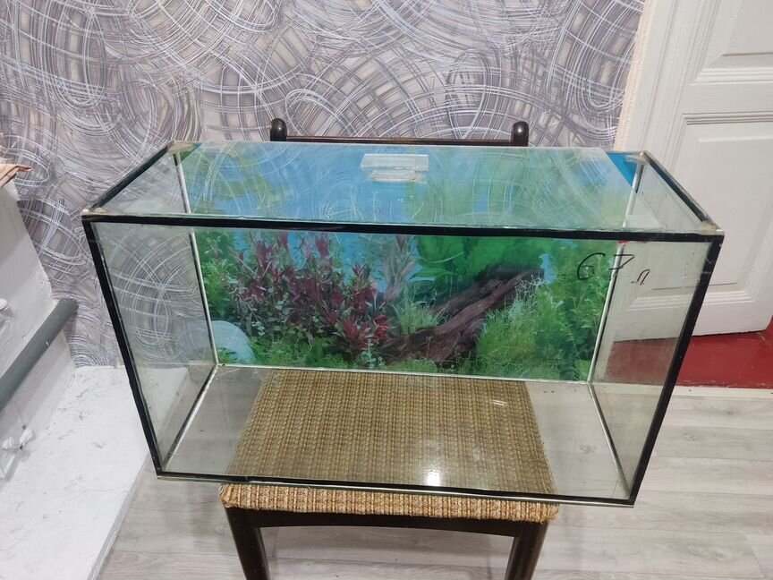 Аквариум 67 литров