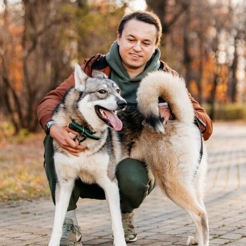 Необыкновенный Стич