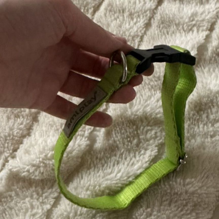 Ошейники для собак на большую и маленькую собаку