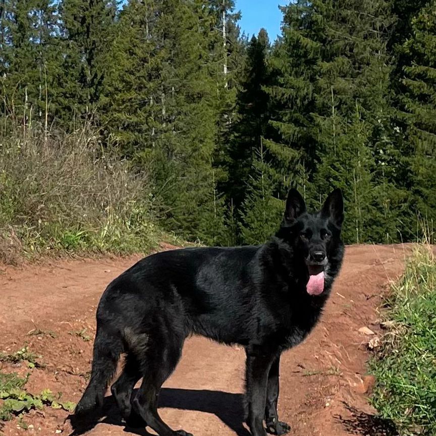 Отдадим в ответственные руки, кабель