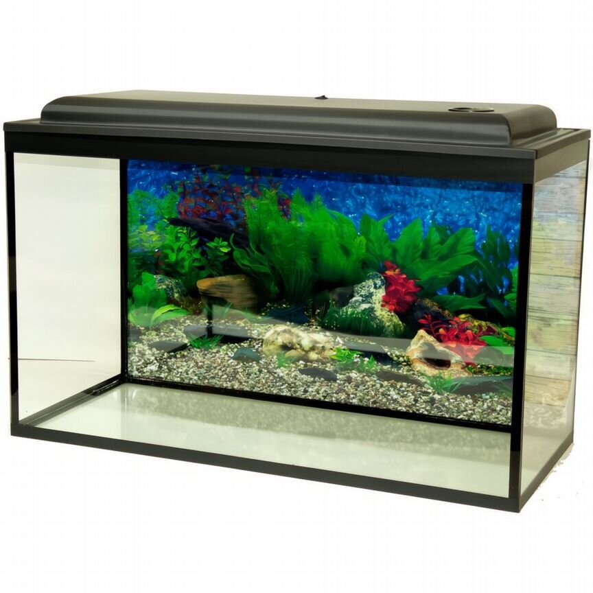 Аквариум на 35 литров