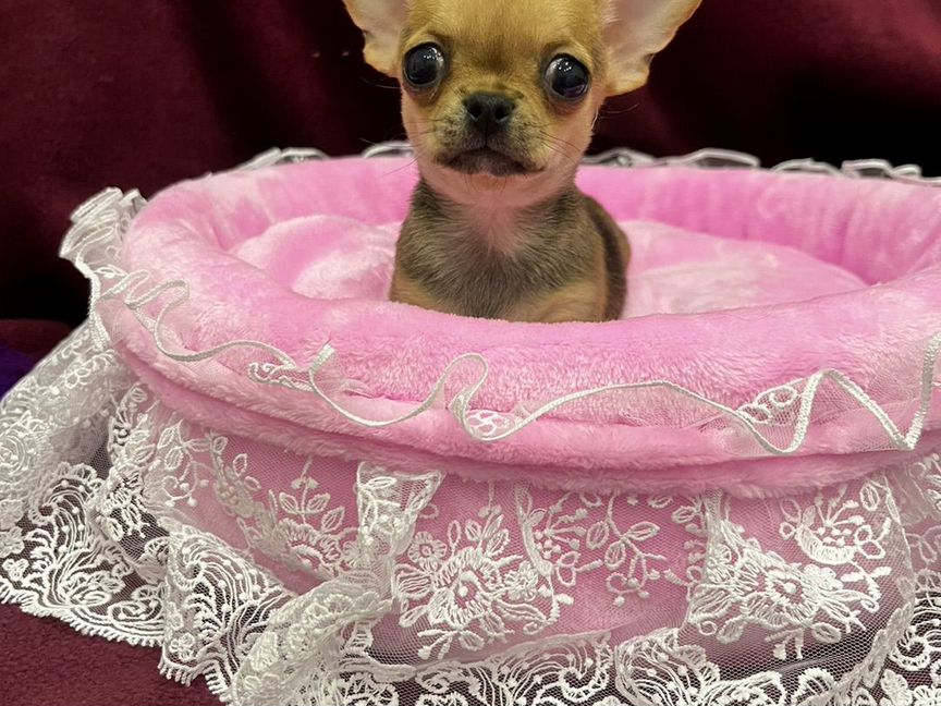 Мимишная малышка