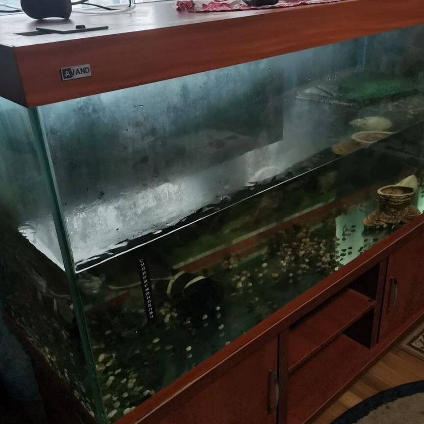 Террариум для водной черепахи