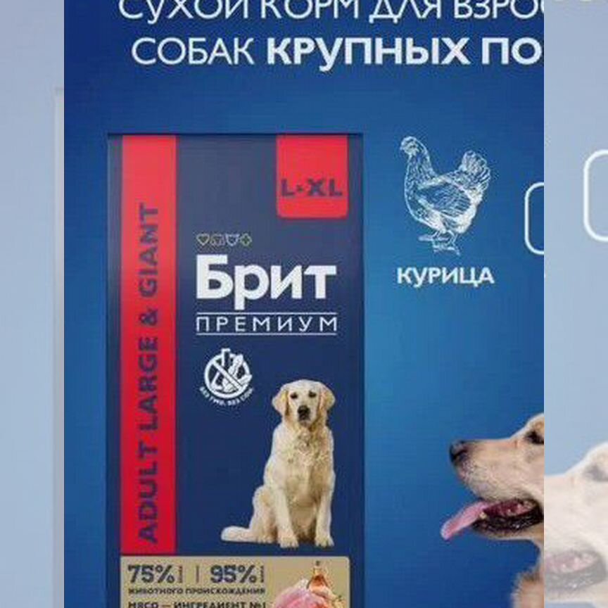 Сухой корм для собак крупных пород