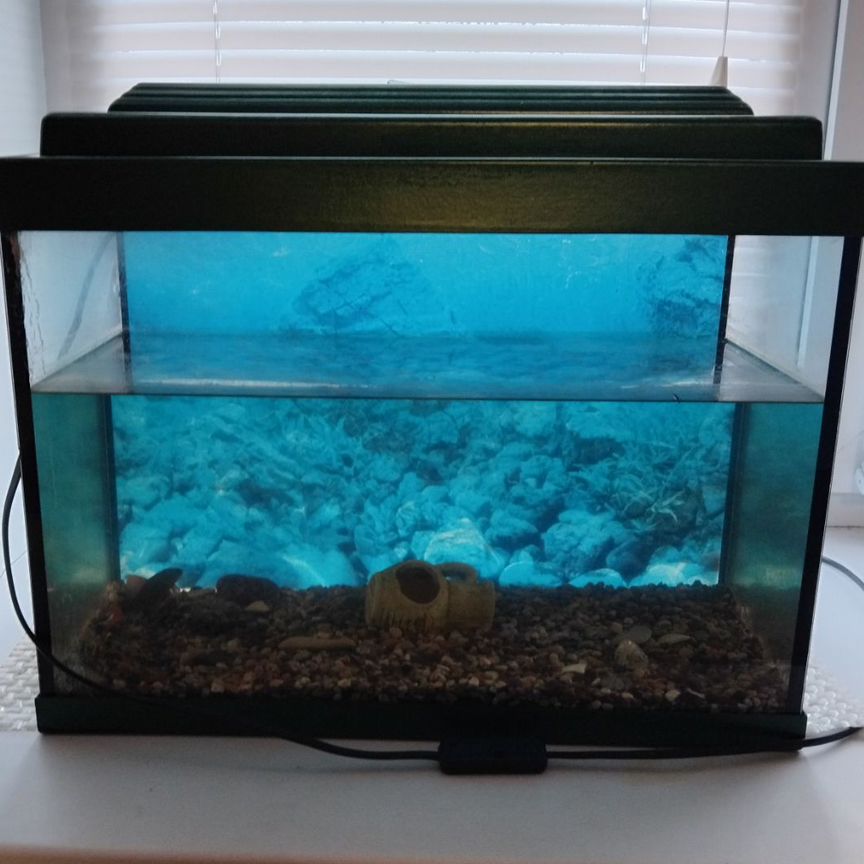 Аквариум
