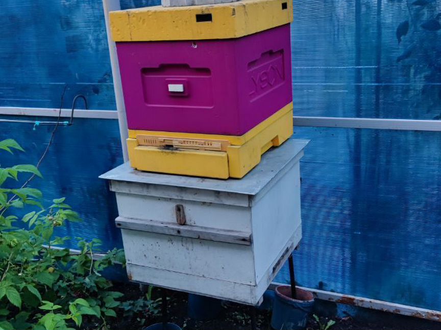 Улей для пчел