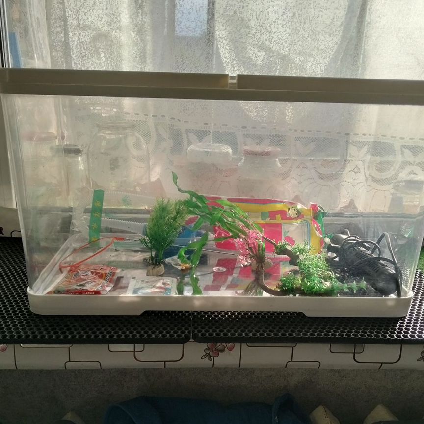 Аквариум