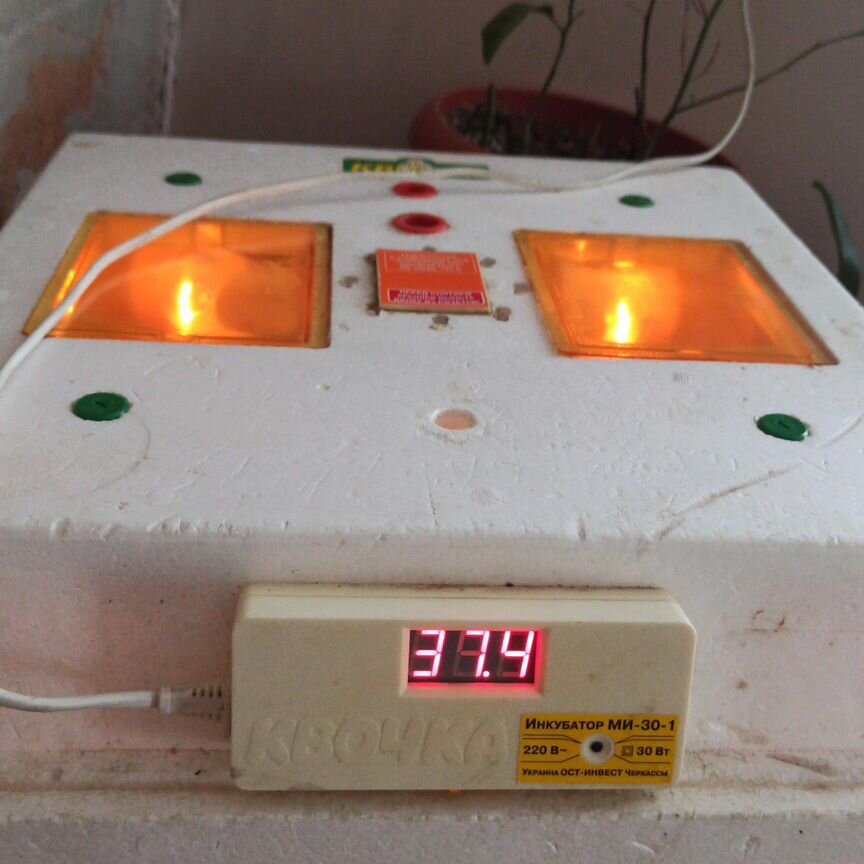 Инкубатор для яиц
