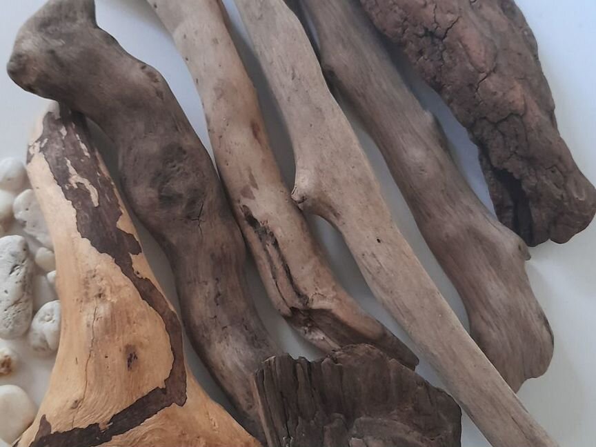 Коряги. Декор в аквариум,террариум. Для творчества